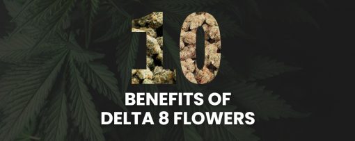 10 Benefits of Delta 8 Flowers - My Delta 8 Store | #1 Delta 8 THC ...
