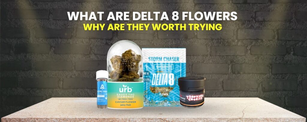 What Are Delta 8 Flowers? And Why Are They Worth Trying? - My Delta 8 ...