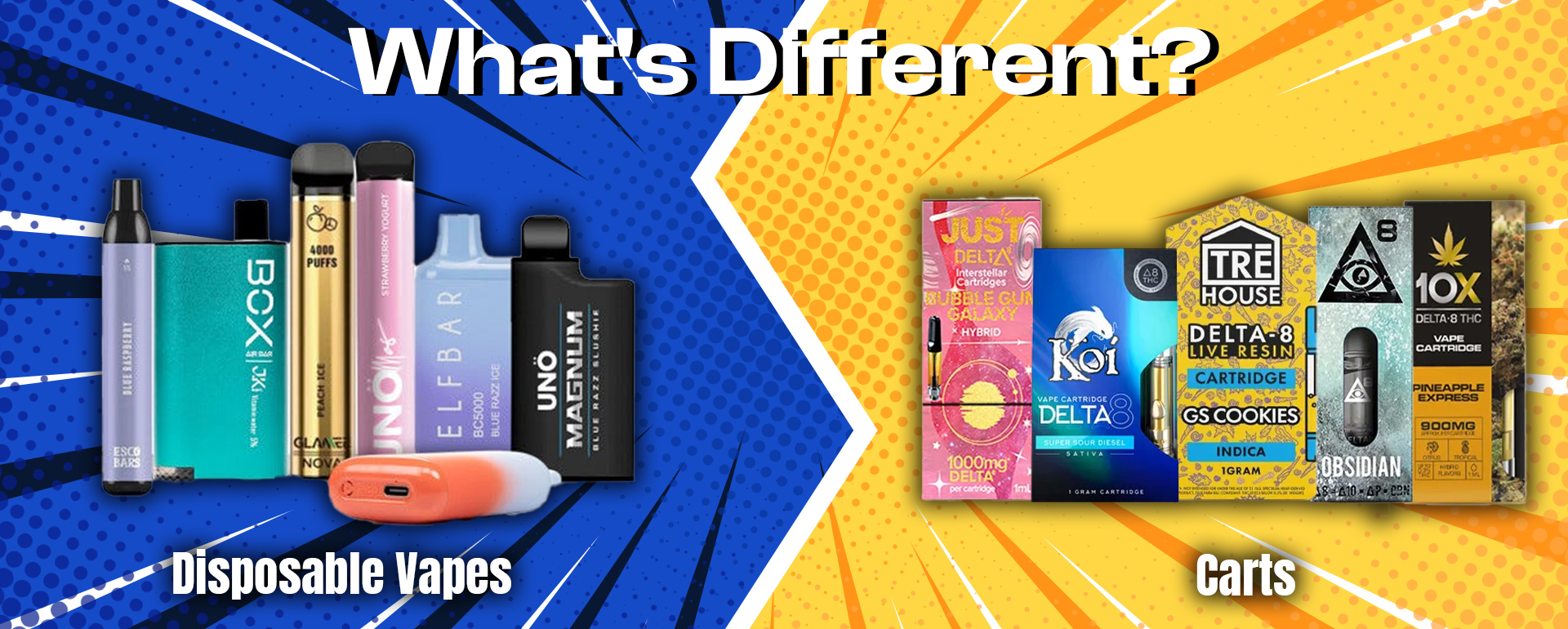 Vape Cartridges vs. Disposables: What's Different? - My Delta 8 Store ...
